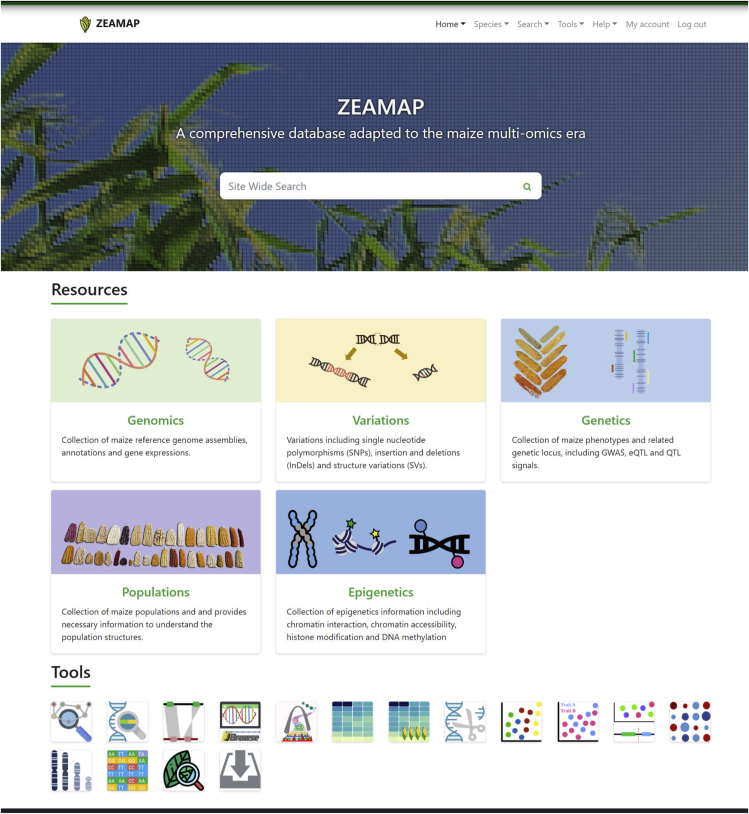 ZEAMAP, a Comprehensive Database Adapted to the Maize Multi-Omics Era | Jingyun Luo